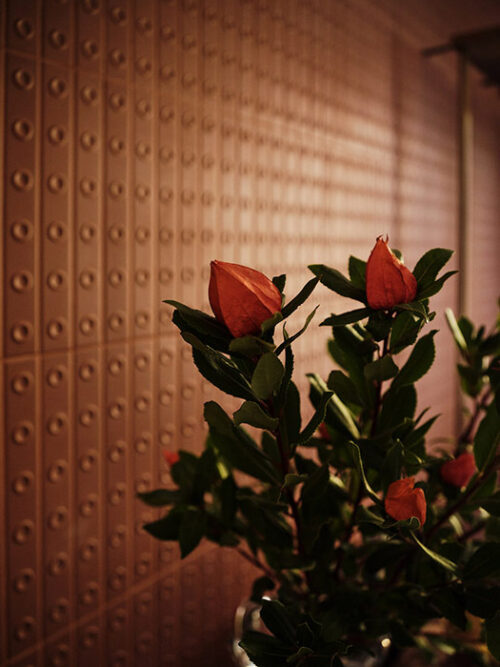 MODA BAGNO - INTERNI - N. Varveris | Bathroom - Tiles - Kitchen ...